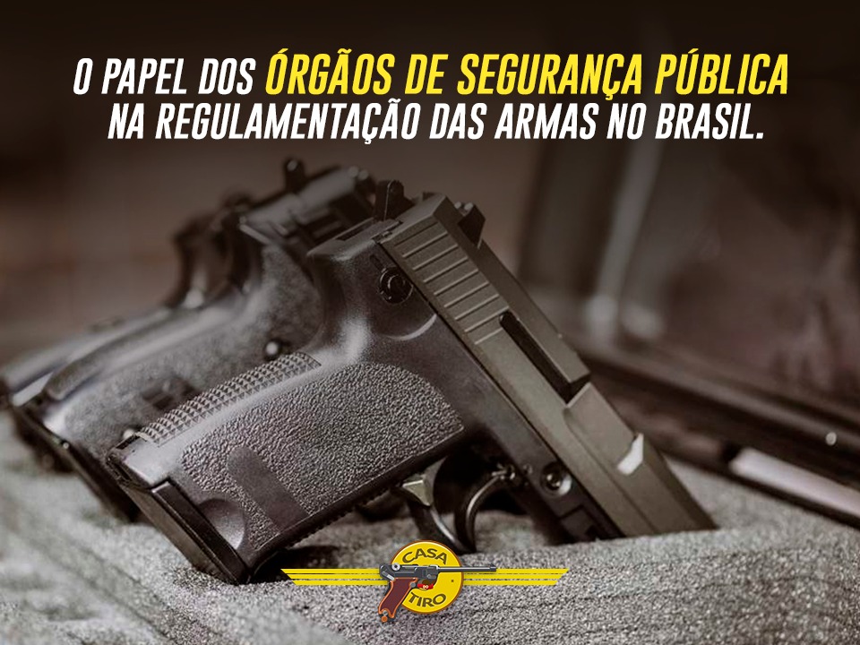 O Papel Dos órgãos De Segurança Pública Na Regulamentação Das