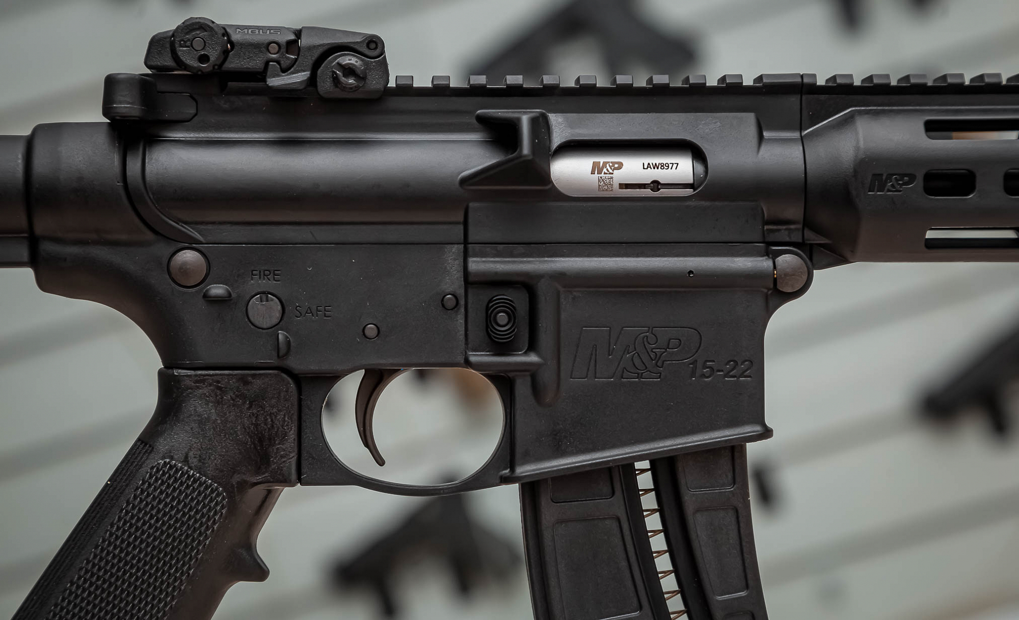 RIFLE SMITH & WESSON MP15-22 CAL. .22 LR | Casa do Tiro